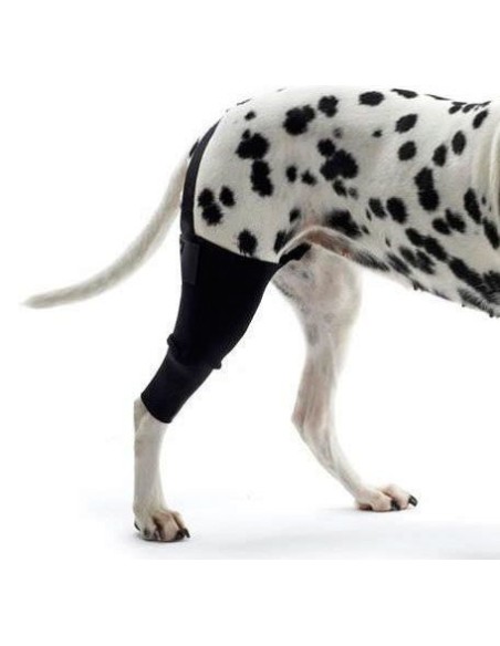 Protector de rodilla o rodillera para perro | Adiós dolor articular