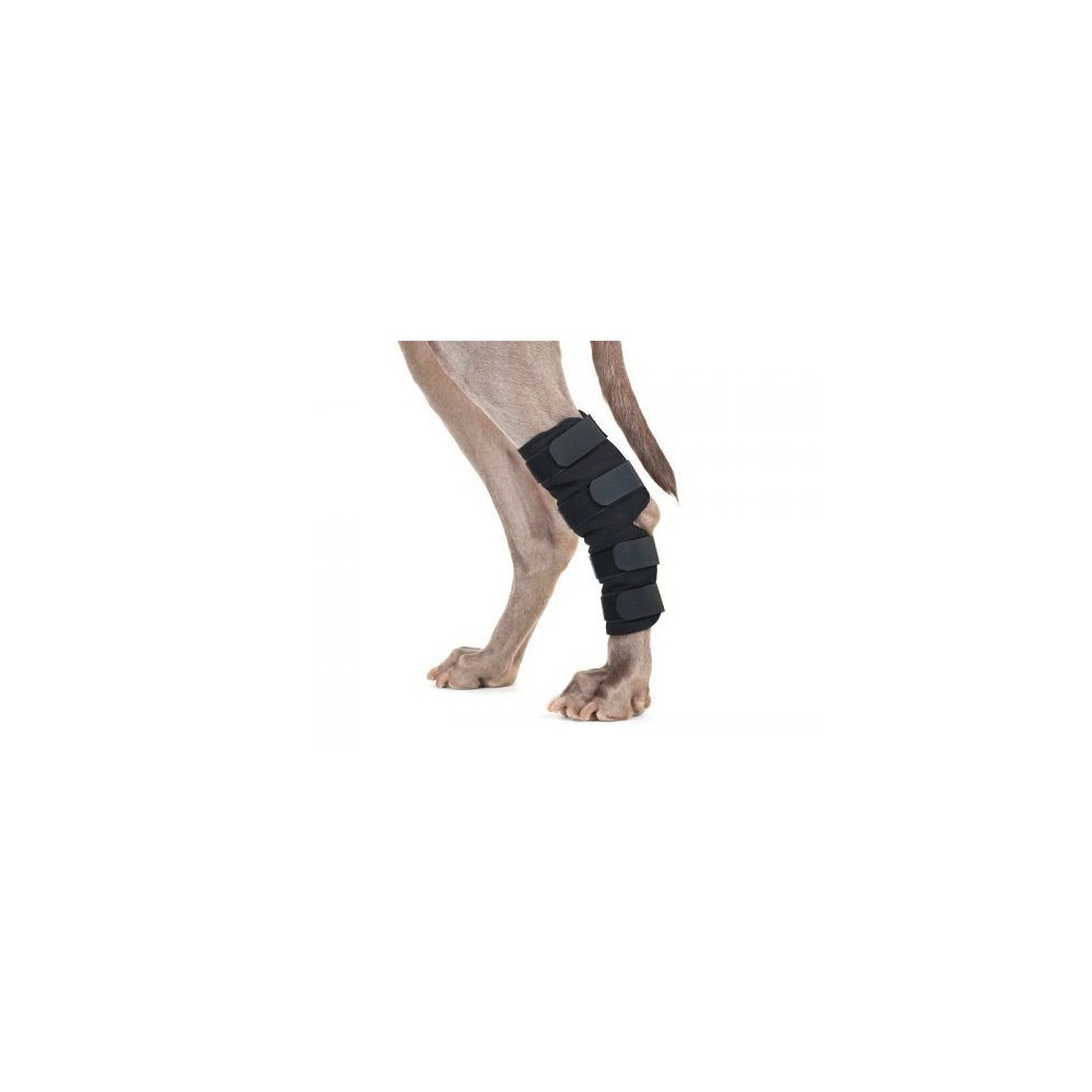 Tarsal Protector for Dogs and Cats | Animal Orthopaedics