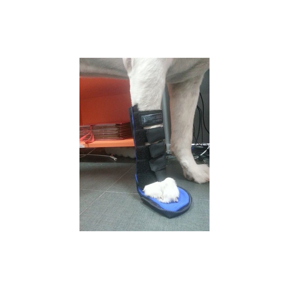 Anterior splint for DOGS - Orthopedic splints